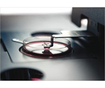 PALM MicroBeam 激光显微切割系统 - 激光显微切割系统 - 广州隆泽生物科技有限公司