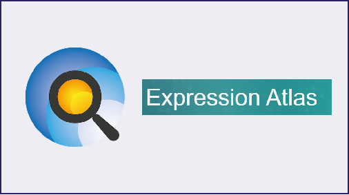 科研工具库-武汉迈思生物