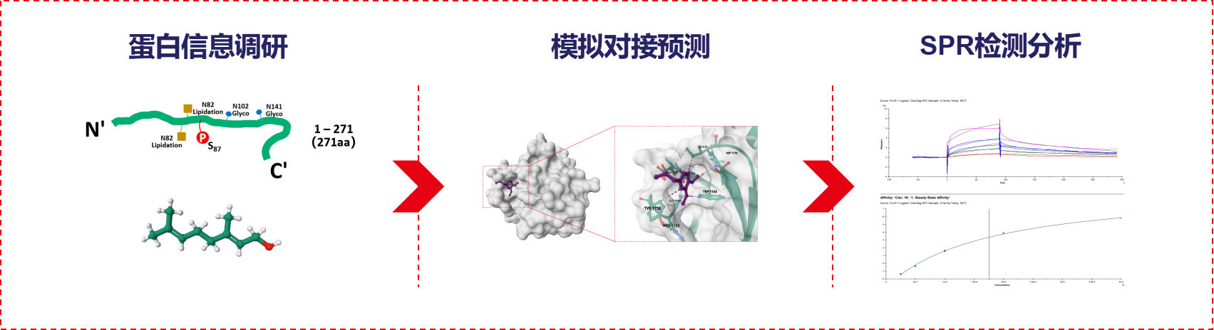 SPR互作检测服务-迈思生物
